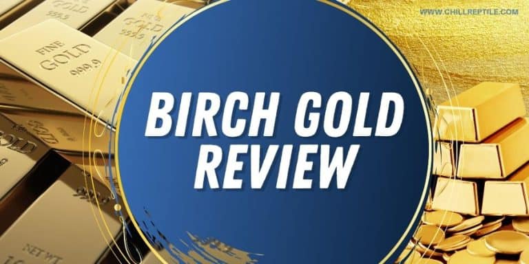 Birch Gold Group Review – Best Gold Dealer?