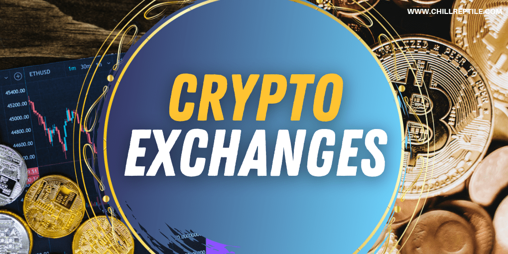 Cryptocurrency Exchanges - CHILLREPTILE