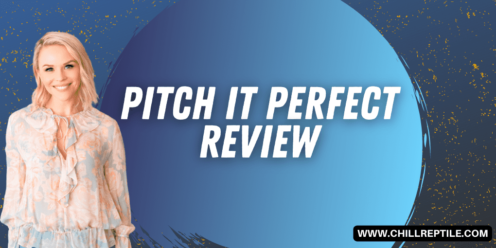 Pitch it Perfect Review: The Ultimate Guide to Brand Pitching?