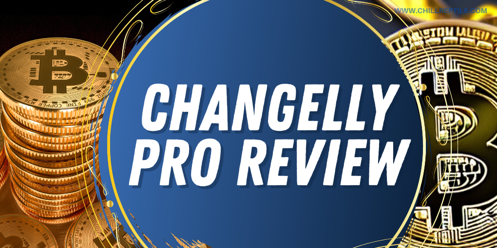 Changelly Pro Review: Features, Fees and Alternatives [2024]