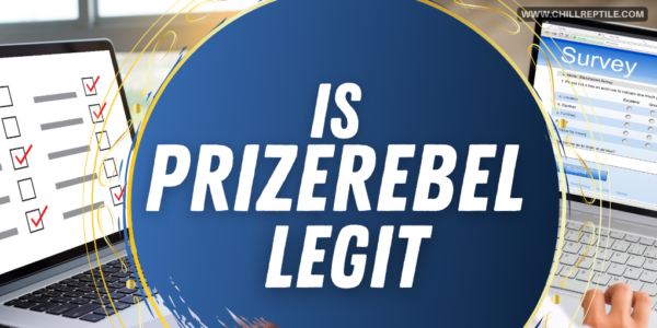 PrizeRebel Review – Is this Survey Platform Legit or Scam?