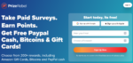 PrizeRebel Review – Is this Survey Platform Legit or Scam?