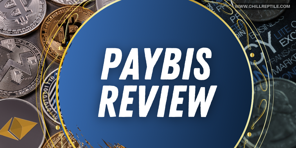 Paybis Review: Pros, Cons, and Alternatives (2024)
