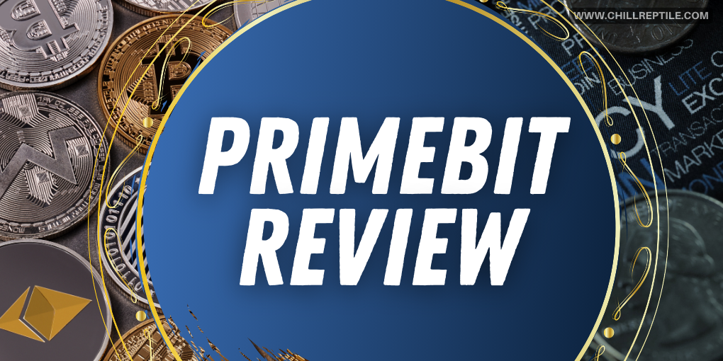 PrimeBit Review: Pros, Cons, and Alternatives (2024)