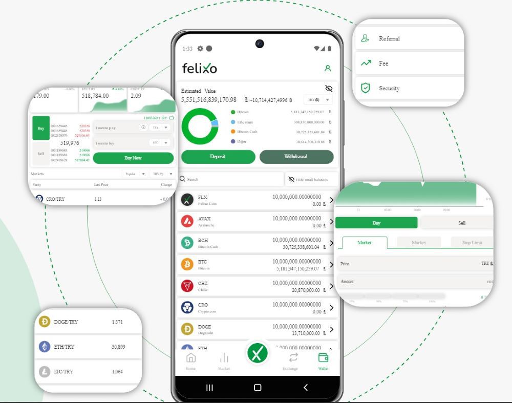FeliXo Review: Pros, Cons, and Alternatives (2024)