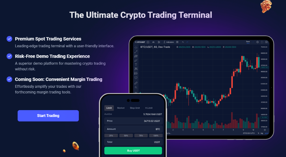 Dex-Trade Review: Pros, Cons, and Alternatives [2024]