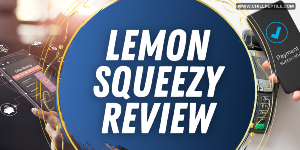 Lemon Squeezy 2024 Review My Personal Experience